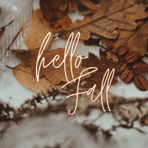 autumn feels and sayings » Wanderlust Divine