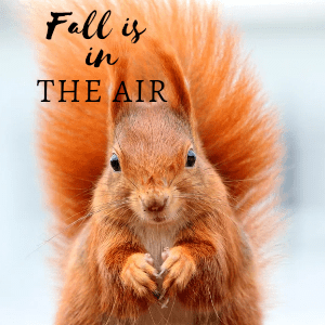autumn feels and sayings » Wanderlust Divine