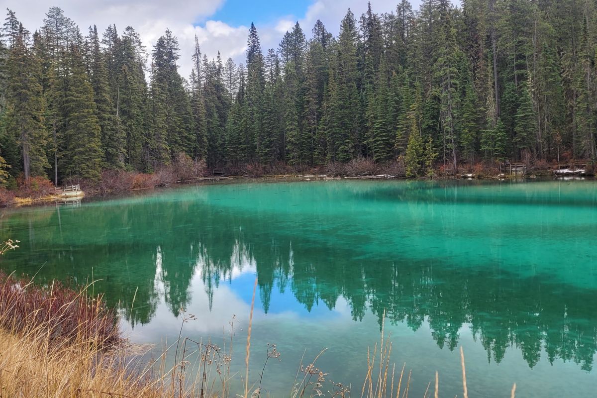 Olive Lake: A Peaceful Stop Near Radium Hot Springs » Wanderlust Divine